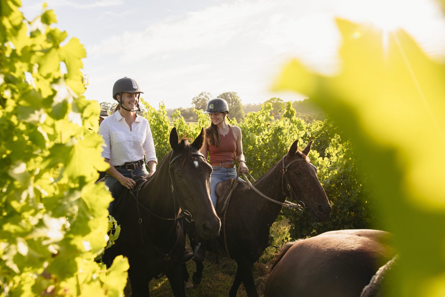 The Leeuwin @ Witchcliffe – @ Witchcliffe