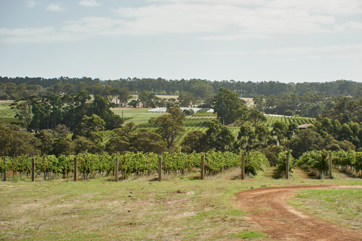 The Leeuwin @ Witchcliffe – @ Witchcliffe